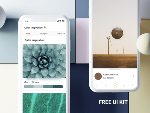 ColorMe App Template - Free Sketch Resource | Sketch Elements
